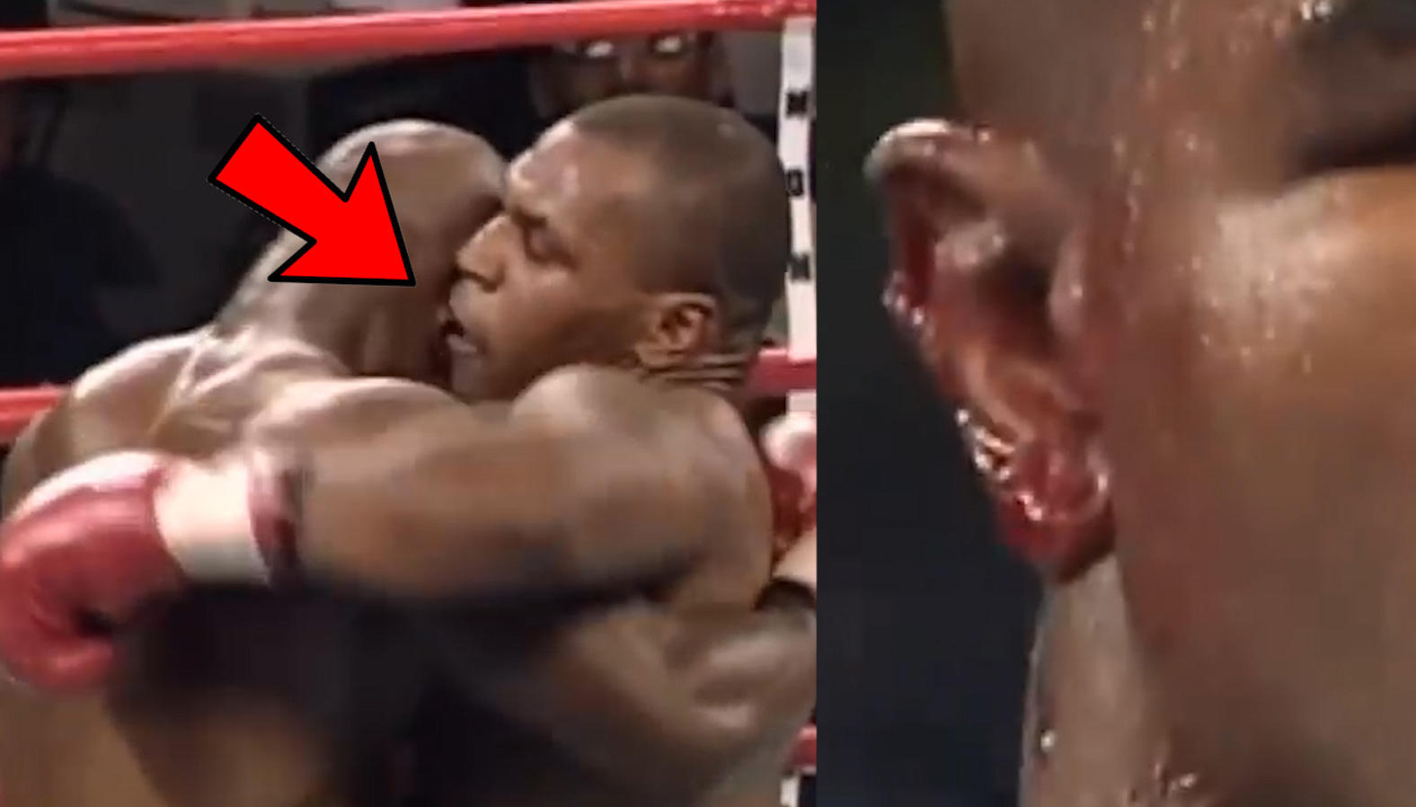 Mike Tyson Finally Admits The Real Reason He Bit Evander Holyfield's ...