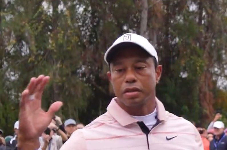 Tiger Woods ‘Big Dog’ Meme Goes Viral For Handshake at the PNC ...