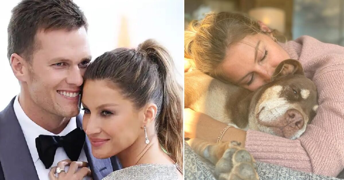 Tom Brady, Gisele Bündchen Mourn Death of Beloved Family Dog Lua - TMSPN