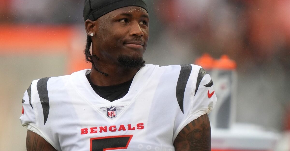 Tee Higgins Throws Shade at Bengals Executive Over Contract Talks - TMSPN