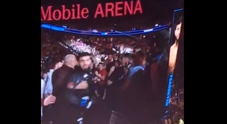 UFC Fighter Punches Fan In The Face While Walking To Octagon at UFC 300 ...