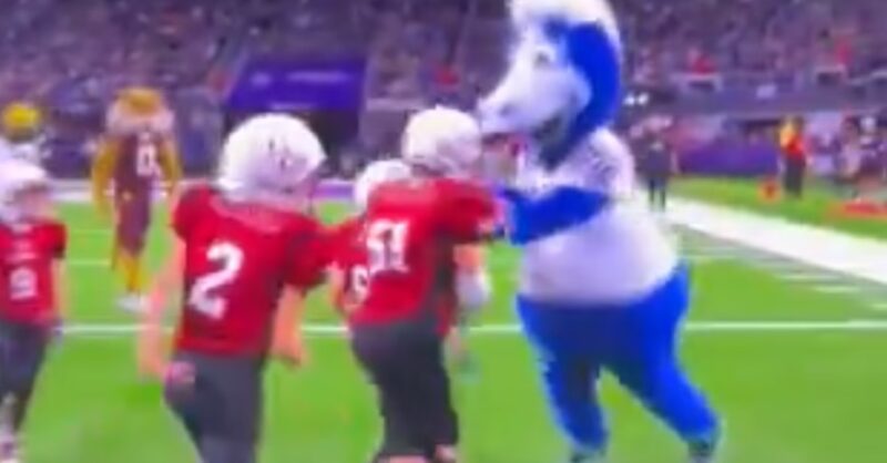 NFL Mascot Suffers Wardrobe Malfunction After Being Embarrassingly ...