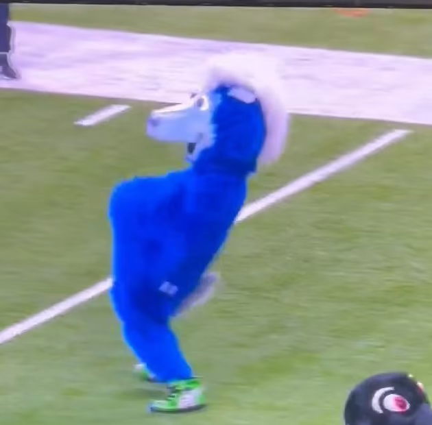 NFL Mascot Suffers Wardrobe Malfunction After Being Embarrassingly ...