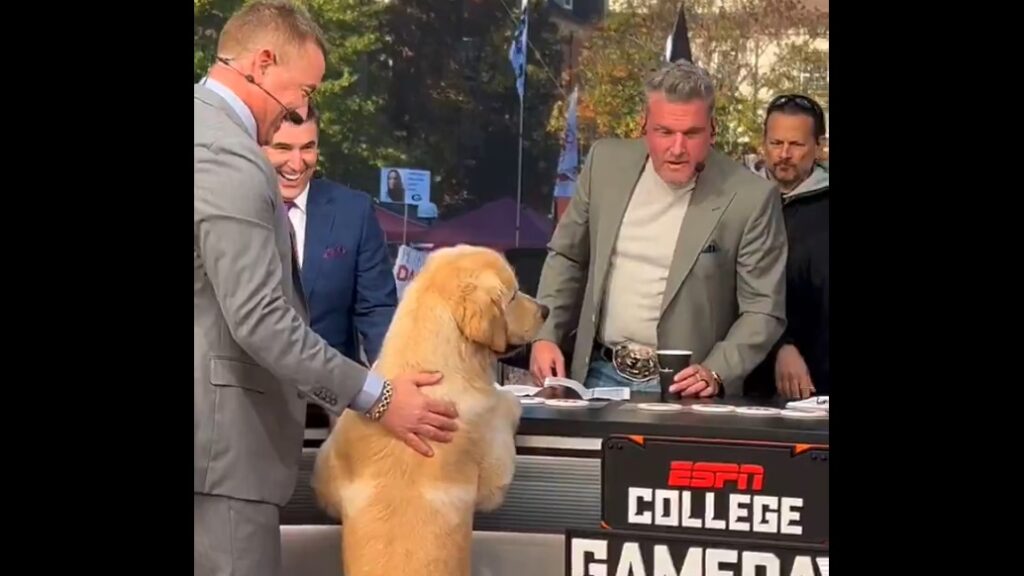 Kirk Herbstreit Introduces New Puppy Peter on College GameDay After ...