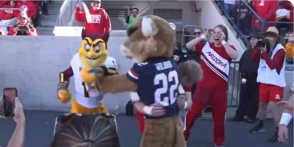Arizona and Arizona State Mascots Brawl in Full Costume on Sideline ...