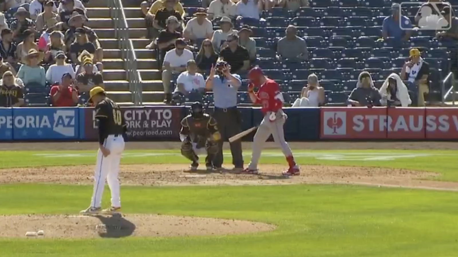 Umpire Delivers Hilarious Reaction After Strike Zone Challenge Confirms ...