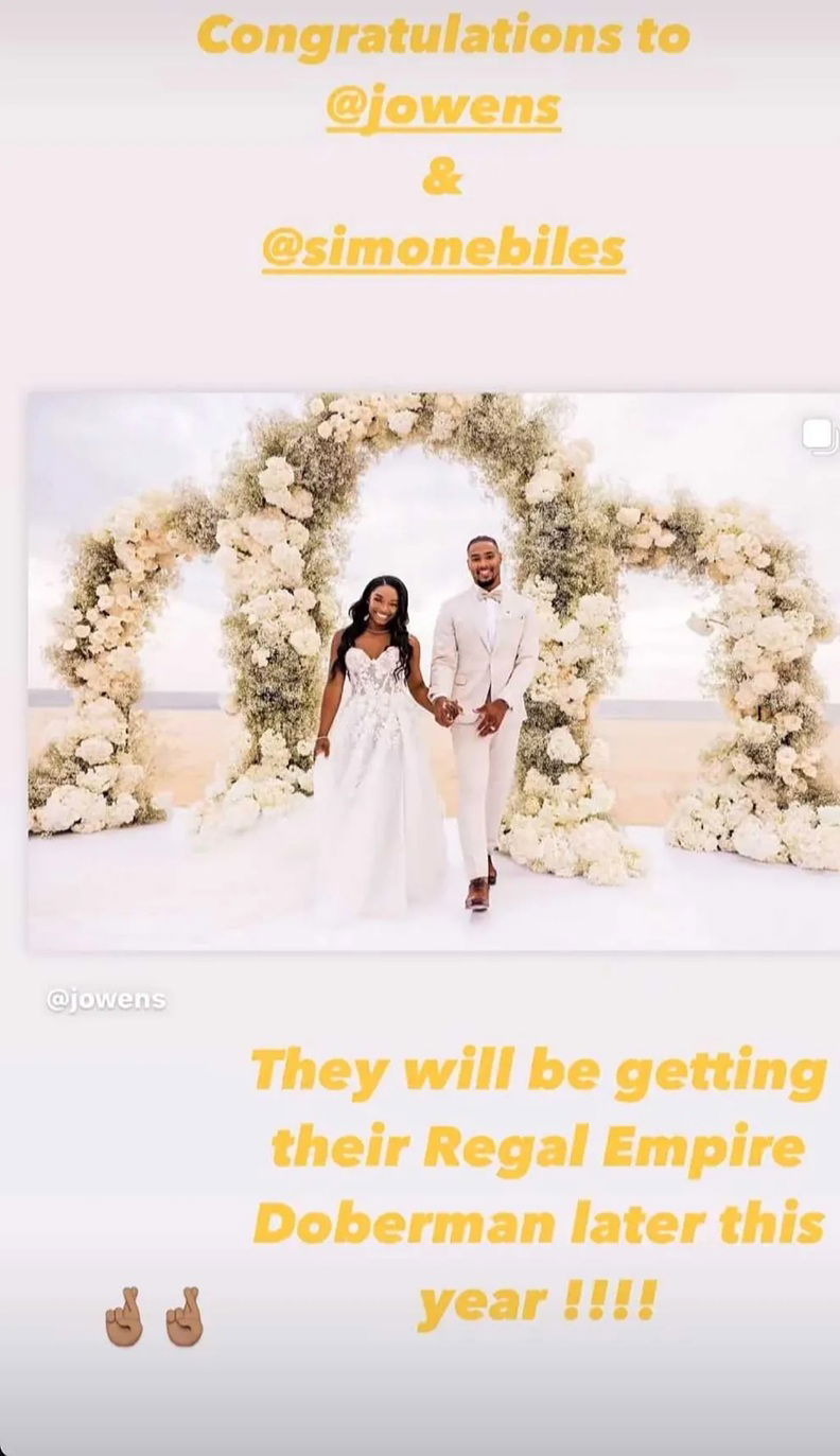 Simone Biles and Jonathan Owens Delight Fans with Surprise New Addition to Their Family - TMSPN