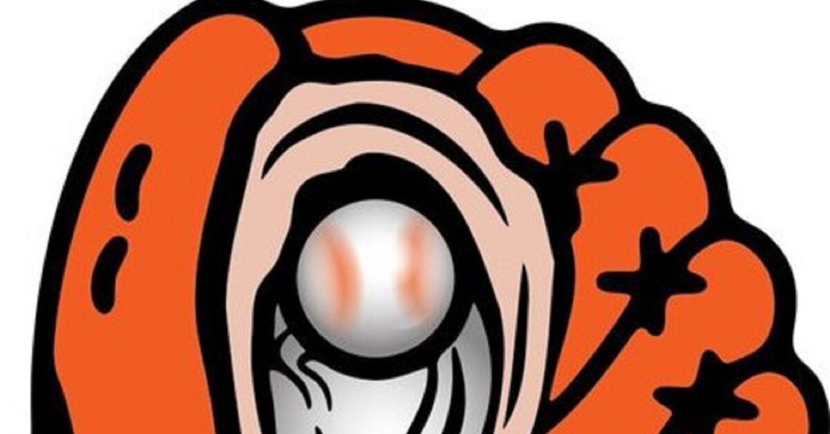 Minor League Baseball Team Unveils Bold New Logo, Sparking Controversy ...