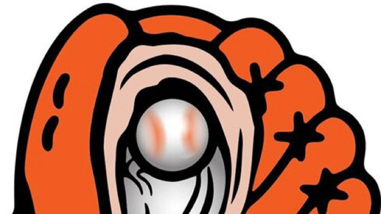 Minor League Baseball Team Unveils Bold New Logo, Sparking Controversy ...