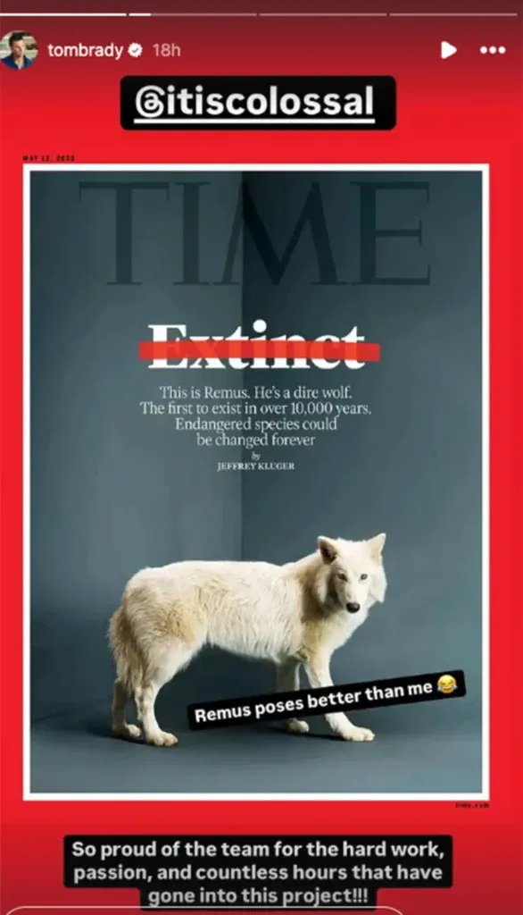 Tom Brady Isn’t Just a Football Icon—He’s Now Helping Bring Back the ...