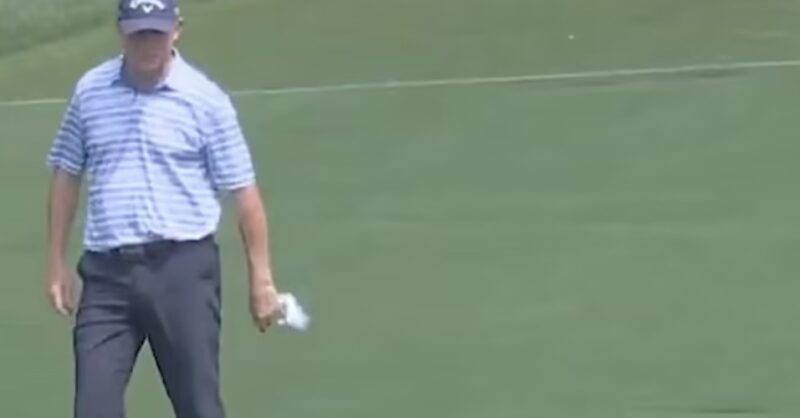 Golfer Stunned as Massive Snake Slithers Onto Course, Delays PGA ...