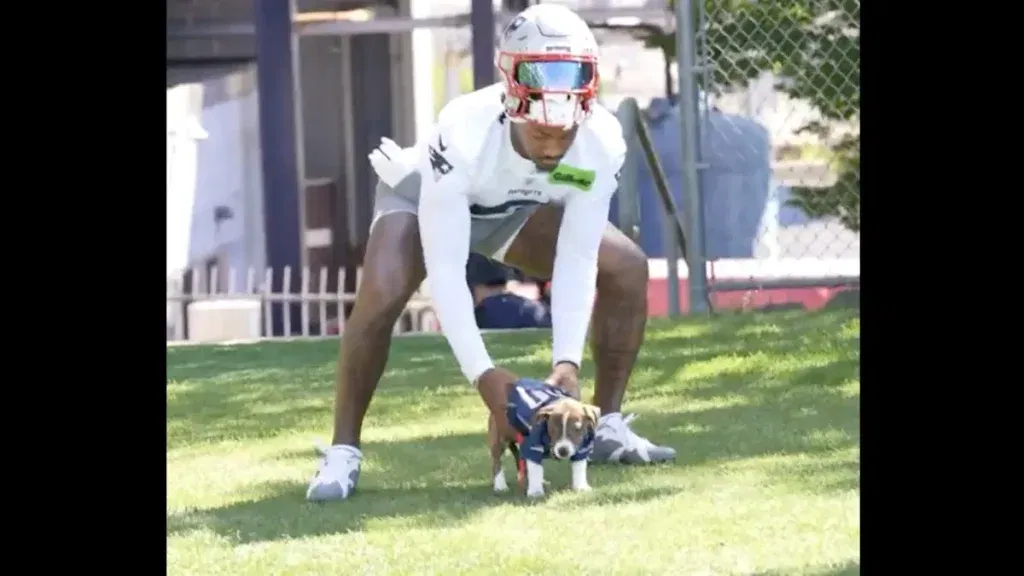 Stefon Diggs Chases Down Runaway Puppy During Practice in Laugh-Out ...