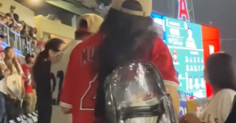 Two Arrested After Fan Brutally Punched and Kicked in Head at Angels ...