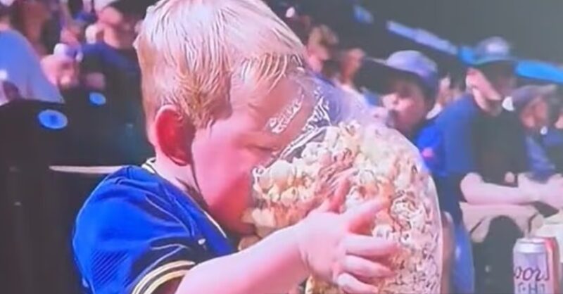 Young Mariners Fan Goes Viral After Hilariously Diving Face-First Into ...