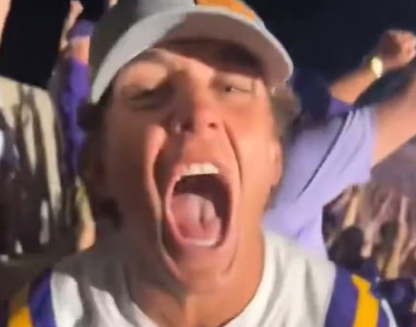 LSU Fan Put in Chokehold by Clemson Supporter After Heated Taunting in ...