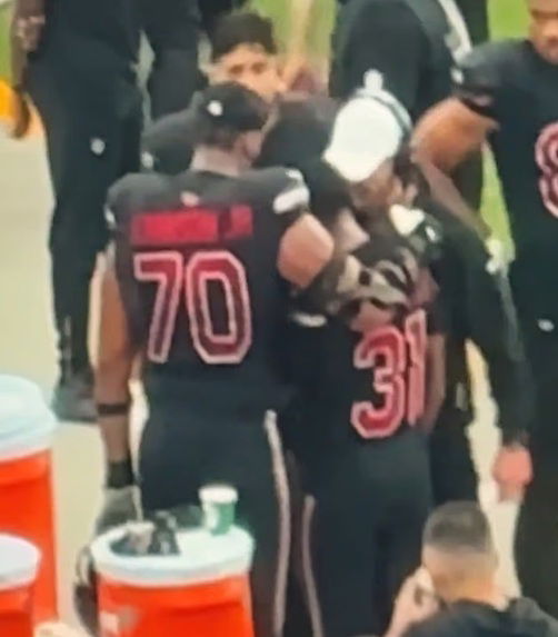 Cardinals Coach Appears to Strike His Own Player During Heated Sideline ...