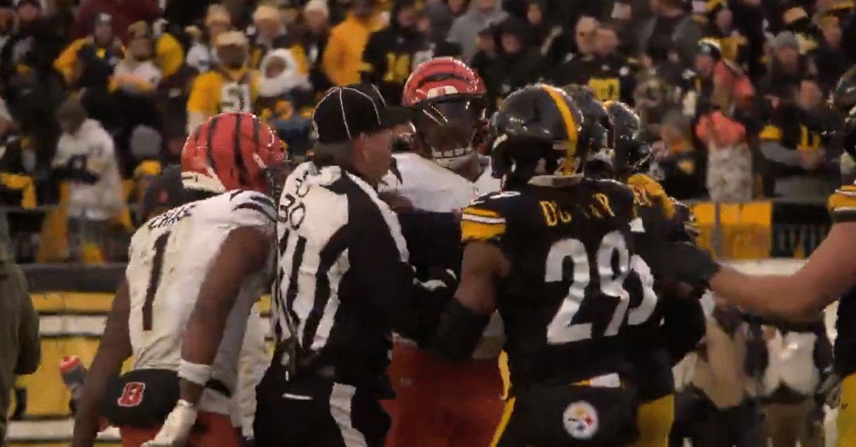 Bengals–Steelers Chaos: NFL Star Thrown Out After Heated Punch Sparks ...