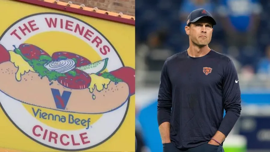 Freezing Bears Fans Lined Up in Droves for Free Hot Dogs After Ben ...