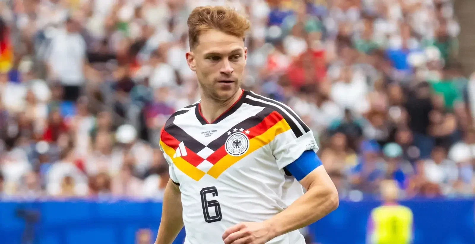 World Cup Players Reportedly on High Alert After Venomous Snake ...